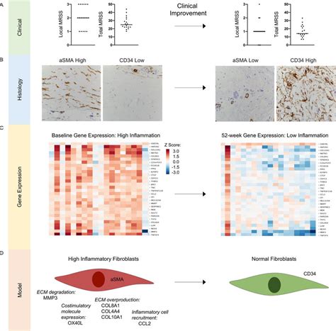 Model Integrating Analysis Of Clinical Histologic And Gene Expression