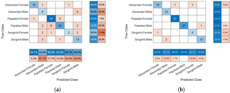 Efficient Convolutional Neural Network Model For The Taxonomy And Sex