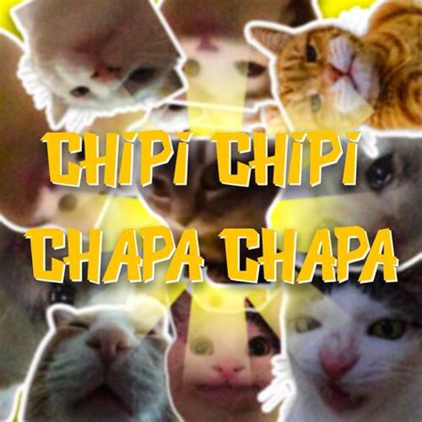 Chipi Chipi Chapa Chapa Phonk Songs Download Free Online Songs Jiosaavn