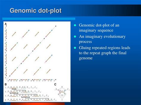 Ppt De Novo Repeat Classification And Fragment Assembly Powerpoint Presentation Id4686678