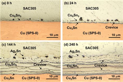 Om Micrographs Of The Cross Sections Of The Sac305cu Interfaces