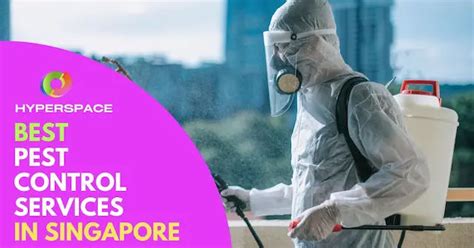 38 Best Pest Control Singapore Services [2025] Hyperspace Singapore