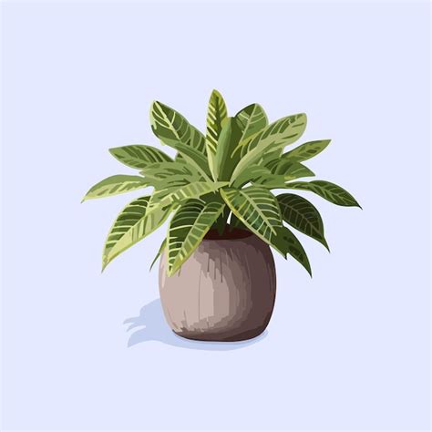 Premium Vector Potted Plant Vector Illustration Of Greenery In A Pot