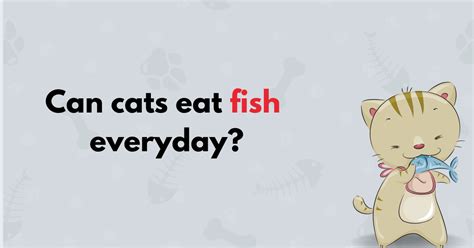 Can Cats Eat Fish Everyday Waggle®