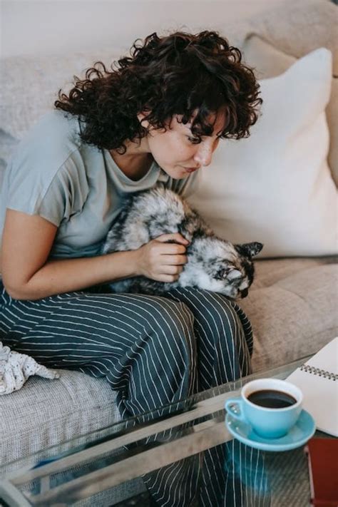 ¿qué Significa Que Un Gato Orine Encima De Ti Y Por Qué Puede Ser Tan