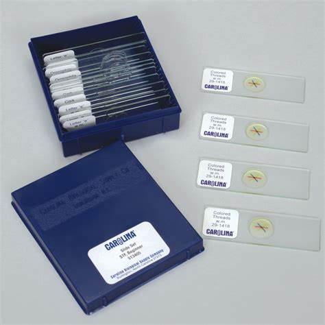 Slide Set Structure And Function Beginner Carolina Com