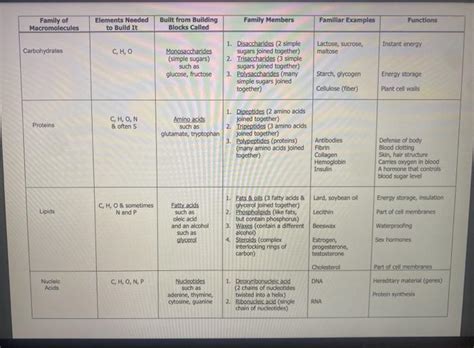Solved Exploring The Macromolecule Table 1 A