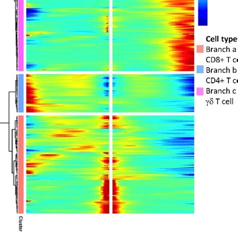 Lymphocyte Populations And Their Functions In Pregnant Mice Uteruses