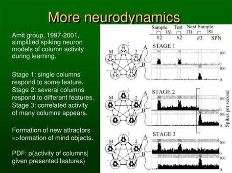 Ppt Attractor Neural Networks And Concept Formation In Psychological Spaces Mind From Brain