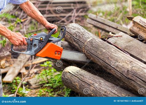 Man With Chainsaw Cutting Tree Stock Image Image Of Tree Power 187441903