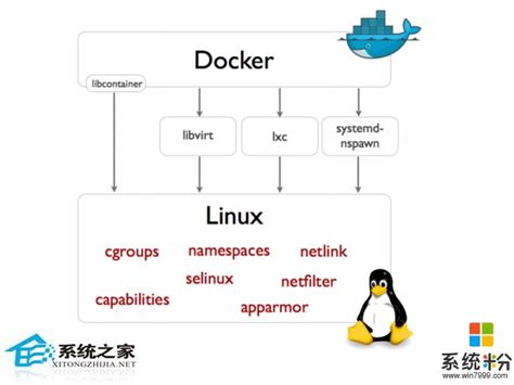 docker容器和宿主机时间不同步怎么解决 docker容器和宿主机时间不同步如何解决 电脑软件教程 系统粉