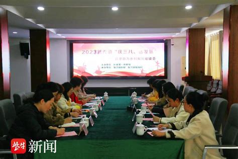 “庆三八 话发展”！盐城亭湖新兴镇高质量巡察助力乡村振兴项目新场妇女节