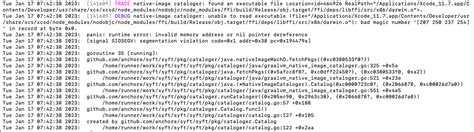 Syft Is Now Throwing Panic With Version Issue Anchore
