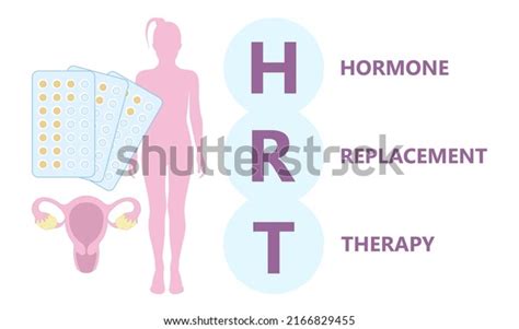 Menstruation Level Female Sex Early High Stock Vector Royalty Free Shutterstock