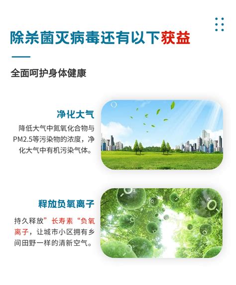 开云·云开中国kaiyun·官方网站 登录入口