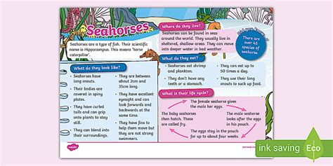 Ks1 Seahorses Fact File Twinkl