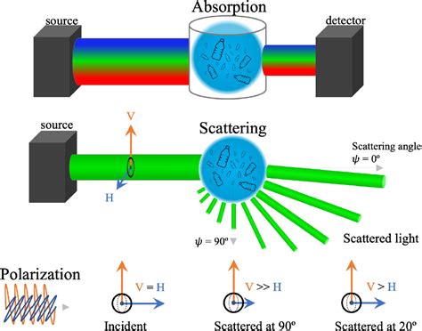 On The Potential For Optical Detection Of Microplastics In The Ocean Oceanography