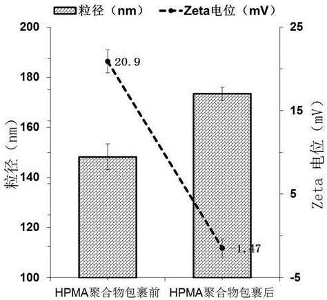 N 2 Hydroxypropyl Methacrylamide Polymer Based Nanoparticles And Preparation Method Thereof