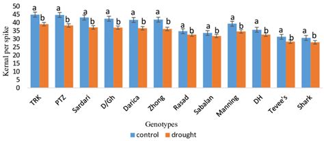 The Mean Comparison Of Interaction Effect Between Genotype And Moisture
