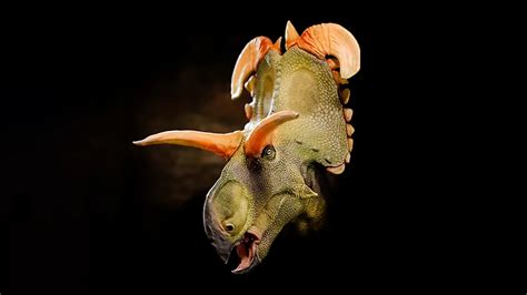 Never Before Seen Dinosaurs Unique Headgear Earns It A Godly Name