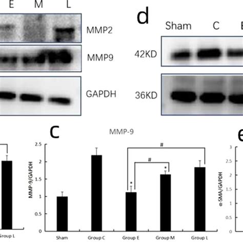 Effect Of Liraglutide On Inflammation And Elastin Content In The Aortic Download Scientific
