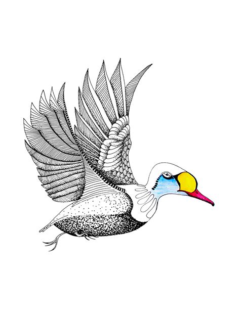 Paradise And Birds On Behance