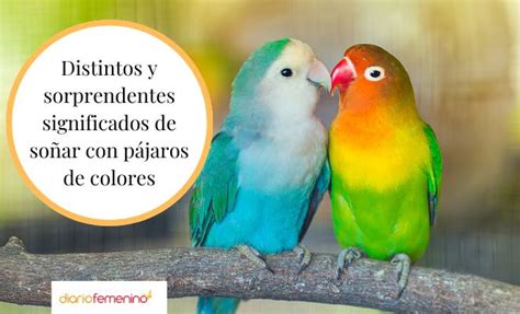 Descubre el significado detrás de soñar con aves de colores
