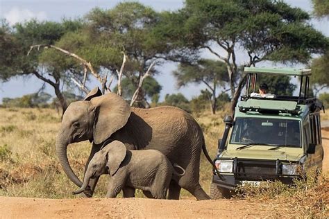 تعليقات حول ‪balack Safaris‬ دار السلام تنزانيا Tripadvisor