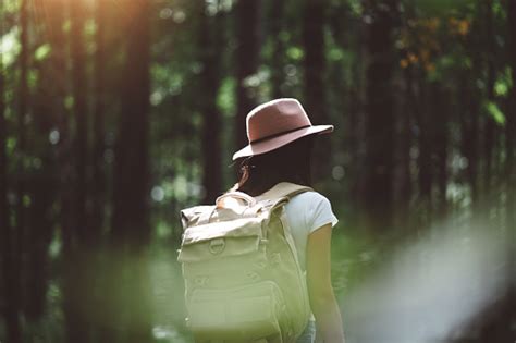 숲에서 나무 들 사이 여행 하는 배낭 여행자 여자 야외에서 걷는 젊은 Hipster 소녀 개성 개념에 대한 스톡 사진 및 기타
