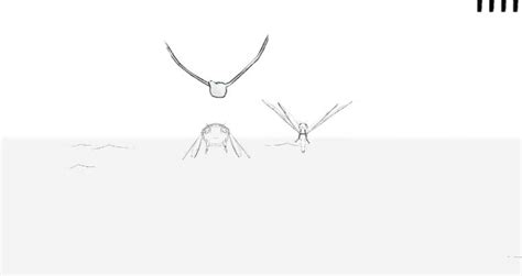 Bird Game＋【switchレビュー評価感想】│ゲームレポ