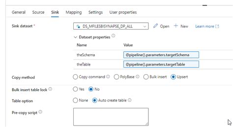 Upsert Options Not Showing In Copy Acivity After Initially Creating