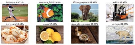 번역 Tensorflow 및 Keras에서 사전 학습된 Imagenet 모델을 사용한 이미지 분류 Learnopencv