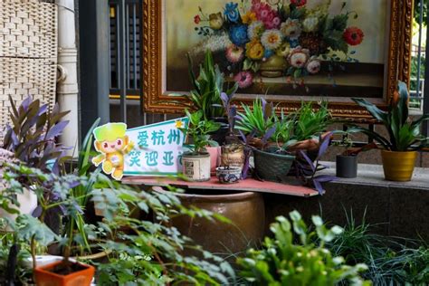 上城区“花香小区”精彩亮相，提升居民群众幸福感澎湃号·政务澎湃新闻 The Paper