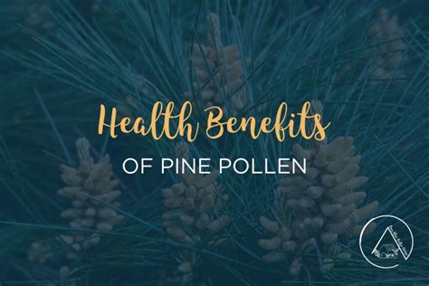 5 Top Health Benefits Of Pine Pollen Our Blue Ridge House