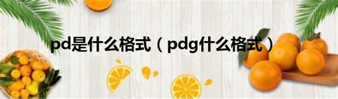 Pd Pdg