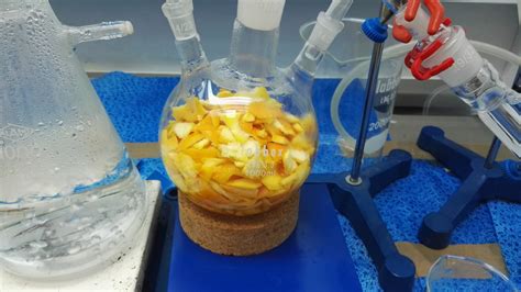Limonene And Pectin Extraction Atria Innovation