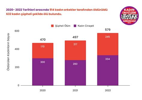 Kadın Cinayetlerini Durduracağız Platformu 2022 Yıllık Veri Raporu