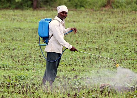 Spraying Pesticieds