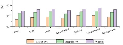 performances of the three tested networks download scientific diagram