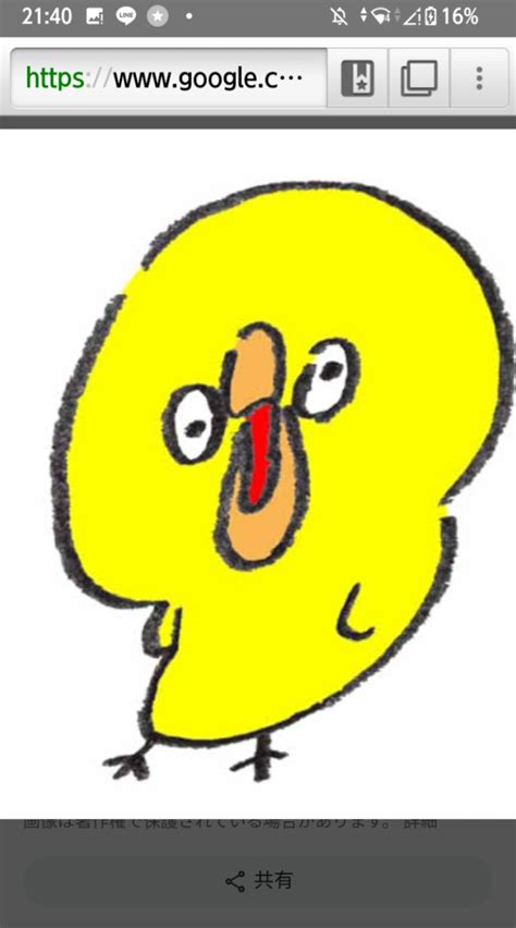 雑談部屋！