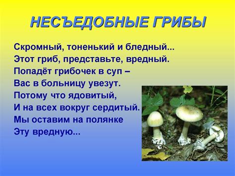 Съедобные и несъедобные грибы Online Presentation