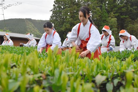 熊野本宮大社で新茶祭 緋袴白書備忘録