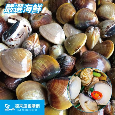 大蛤蜊的價格推薦 2021年9月 比價比個夠biggo