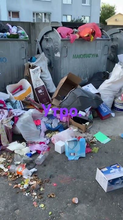 Утро Мусорник Youtube