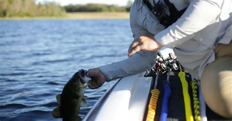 Mastering Bass Fishing Techniques The Best Guide In 2024 Just For Fish