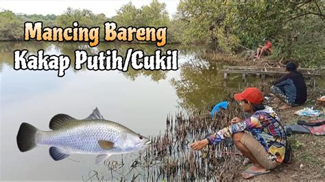 MANCING BOLANGAN KAKAP PUTIH Mancing Bareng Di Spot Bolang Harian