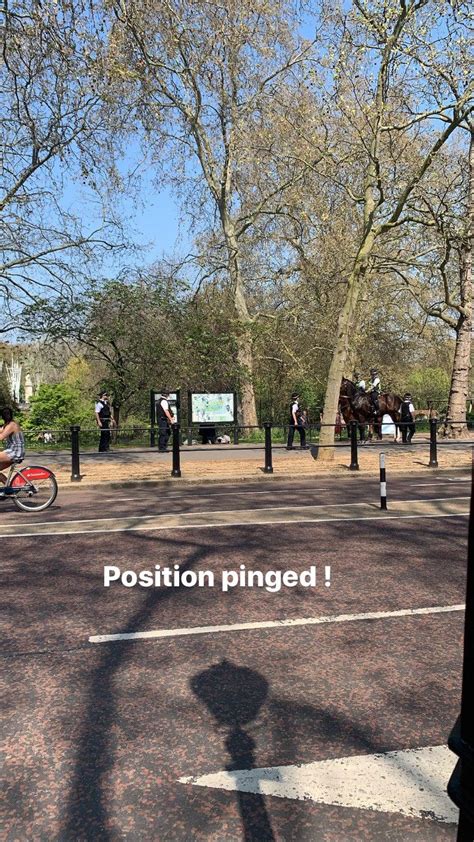 Frisky Couple Stun Onlookers By Having Sex Yards From Buckingham Palace And Cops Only Warn Them