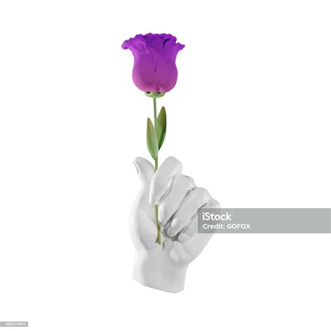 흰색 배경에 고립 된 보라색 장미를 들고 있는 손의 3d 석고 조각 3d 렌더링 3차원 형태에 대한 스톡 사진 및 기타 이미지