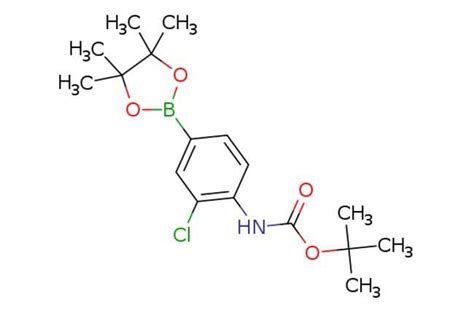EMolecules Tert Butyl 2 Chloro 4 4 4 5 5 Tetramethyl 1 3 2