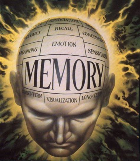 All About Mandela Effect Examples Theory A Listly List